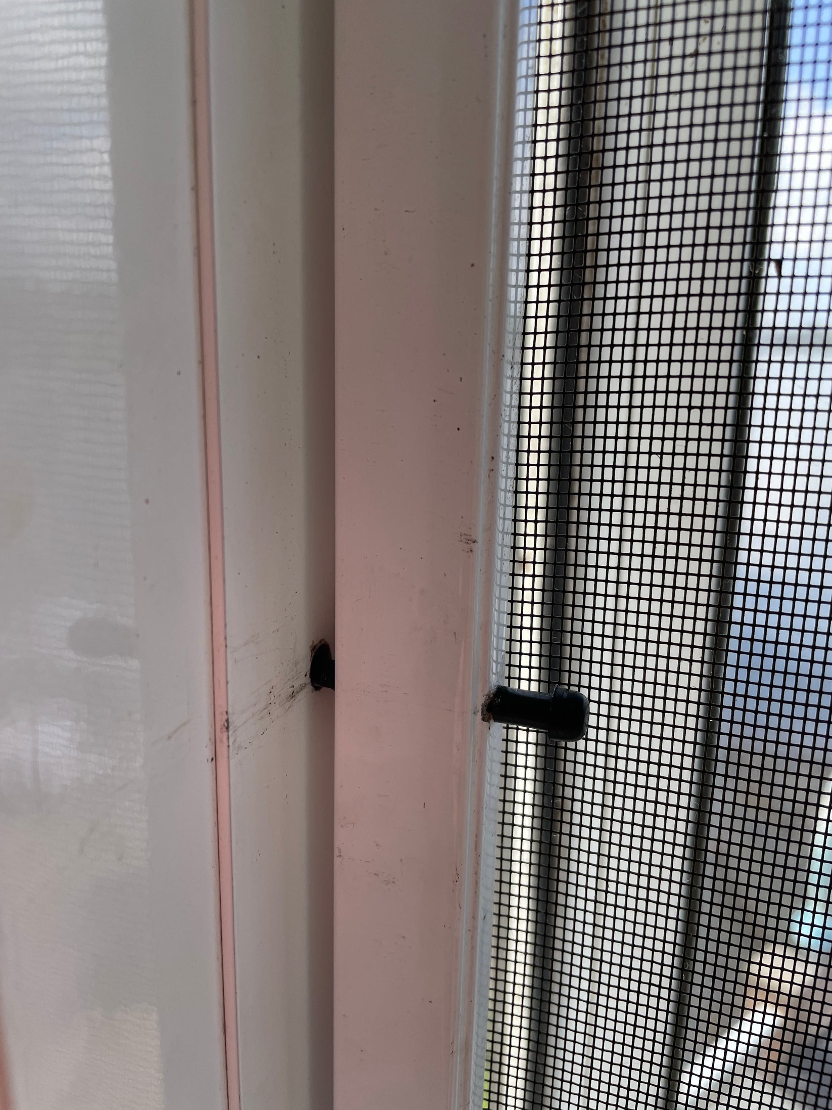 Flyscreen Plunger Pin Spring Loaded - bag 10 – Mr Windows AU