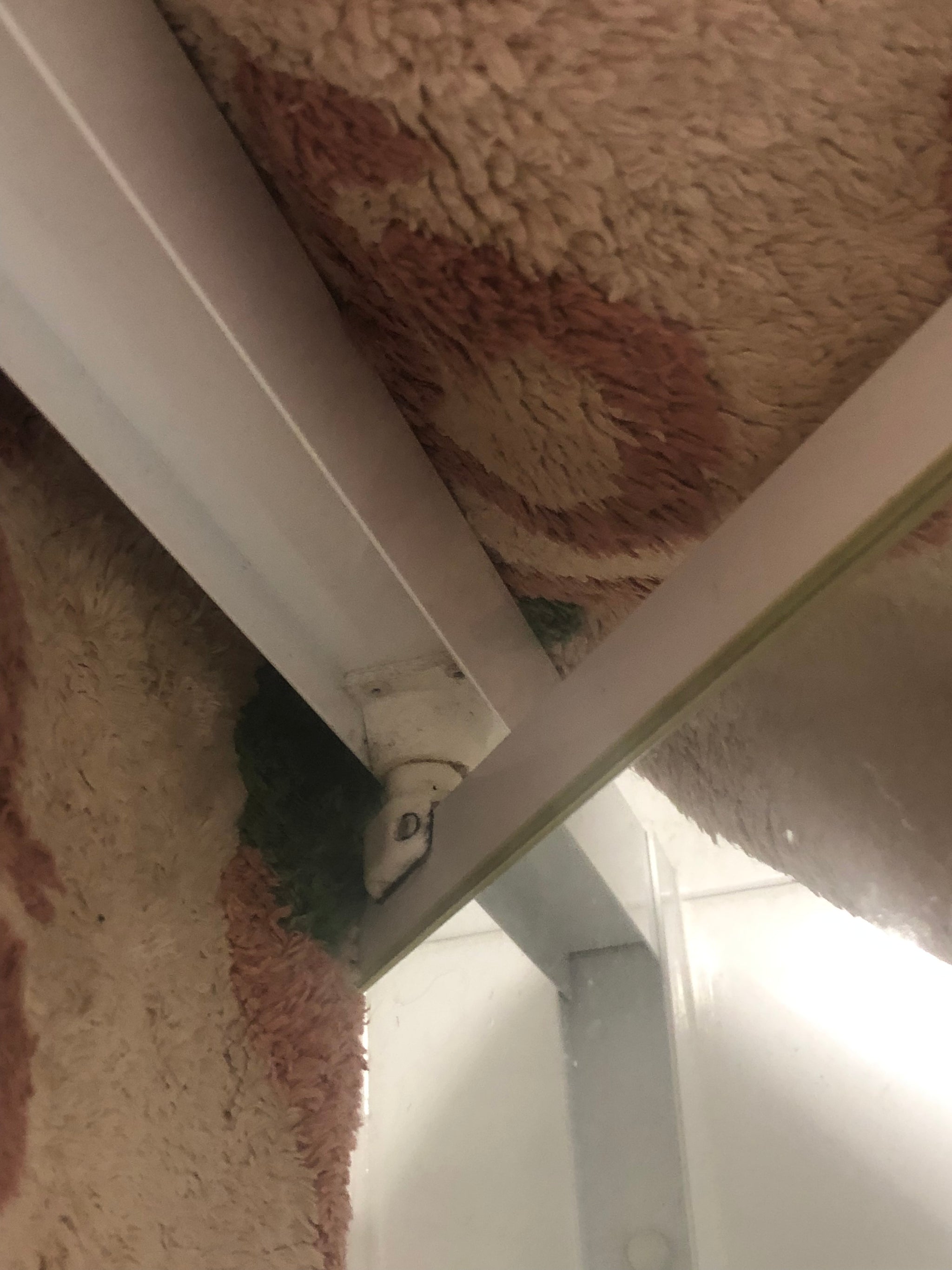 PIVOT shower kit - top and bottom set - Showerama – Mr Windows AU