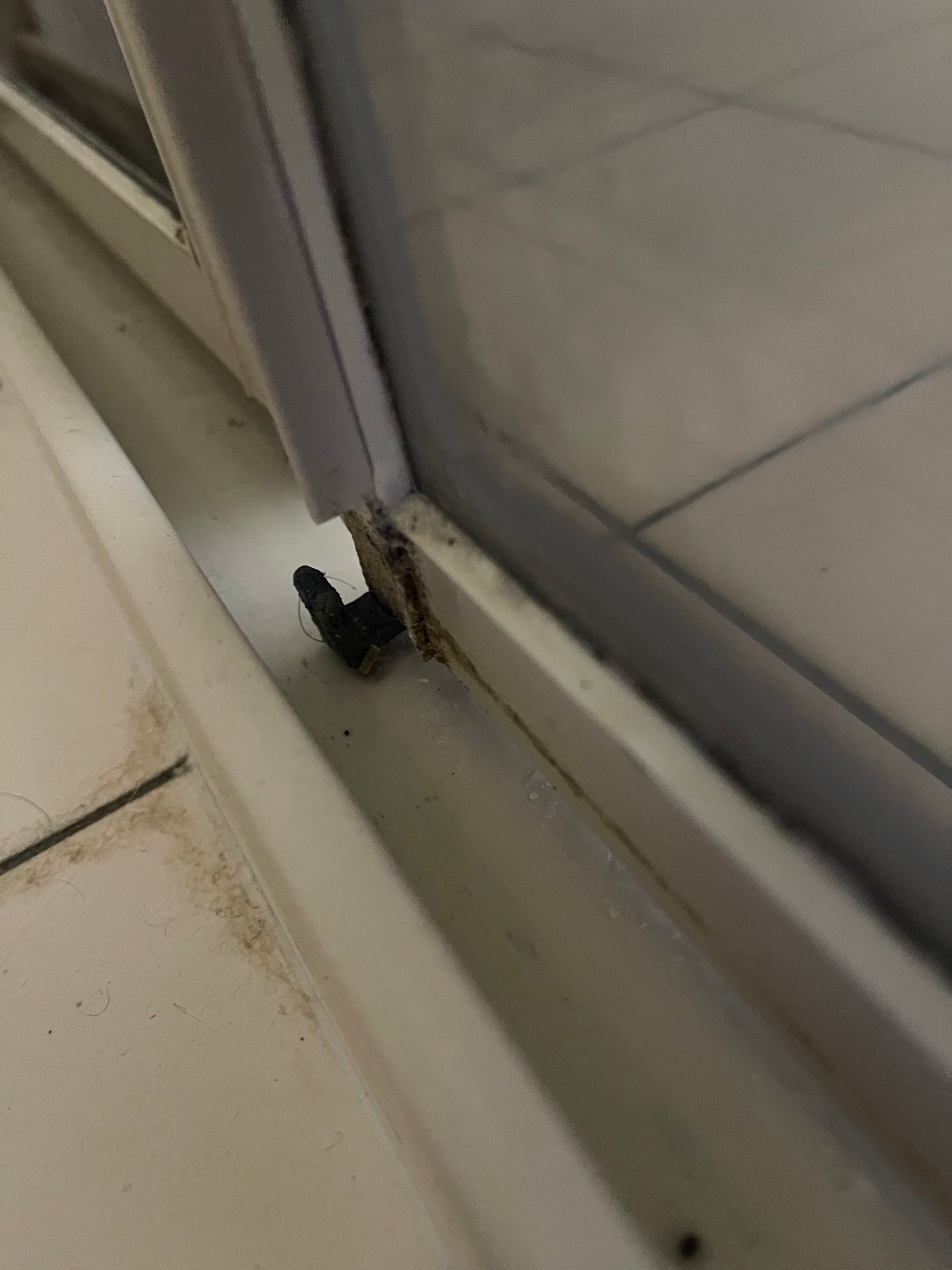 SHOWER repair kit to suit the Elegant shower screen – Mr Windows AU